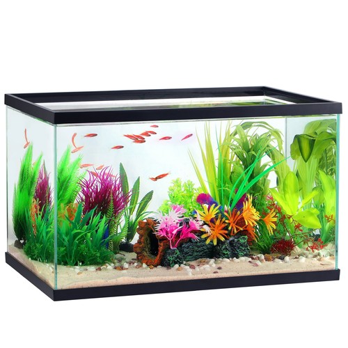 10 Gallon Fish Tank Glass Self Cleaning Large Aquarium Starter Kits ...