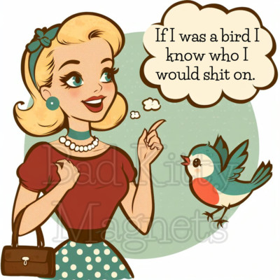 Retro woman sarcastic silly bird funny High Quality Metal Magnet 4x4 ...