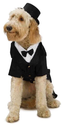 Dapper Dog Tuxedo Wedding Formal Fancy Dress Up Halloween Pet Dog Cat ...