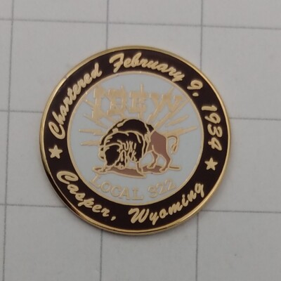 IBEW Lapel Pin Local 322 Casper, WY. | eBay