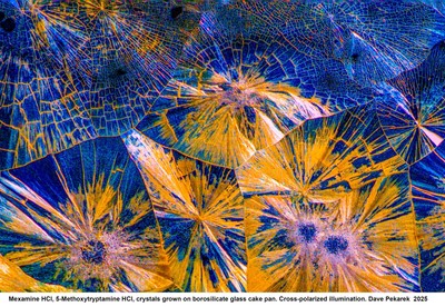 Mexamine HCl, 5 hydroxytryptamine HCl, O-Methylserotonin, 5-MeO-T HCl ...