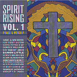 Spirit Rising Vol. 1 - Various Artists - CD | eBay