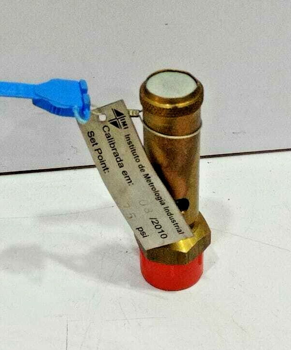 TUV SV-02-893 75PSI Seetru Bristol UK50 MM2 0038 Relief Valve | eBay ...