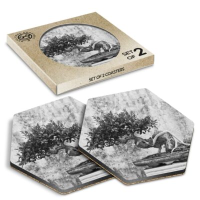 2 x Hexagon Coasters - BW - Bonsai Tree Nature Plants #39505 | eBay UK