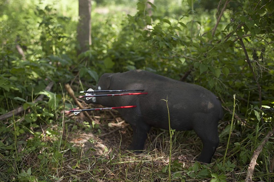 3D Archery Practice Target Hog Pig Bow Hunting Expandables Field Tip ...