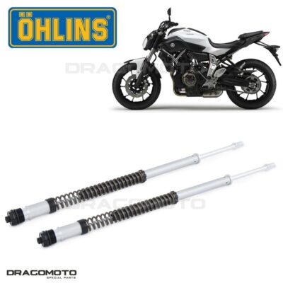 YAMAHA MT 07 2014-2021 cartridge OHLINS FKS 204 NIX 22 | eBay