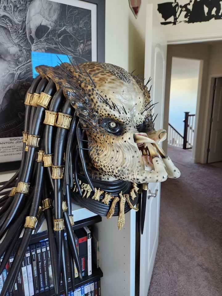 Scott Marshall Lifesize 1:1 Jungle Hunter Predator Statue Head READ ...
