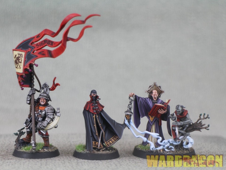 Warhammer AOS WDS painted CITIES OF SIGMAR FREEGUILD COMMAND CORPS t65 ...