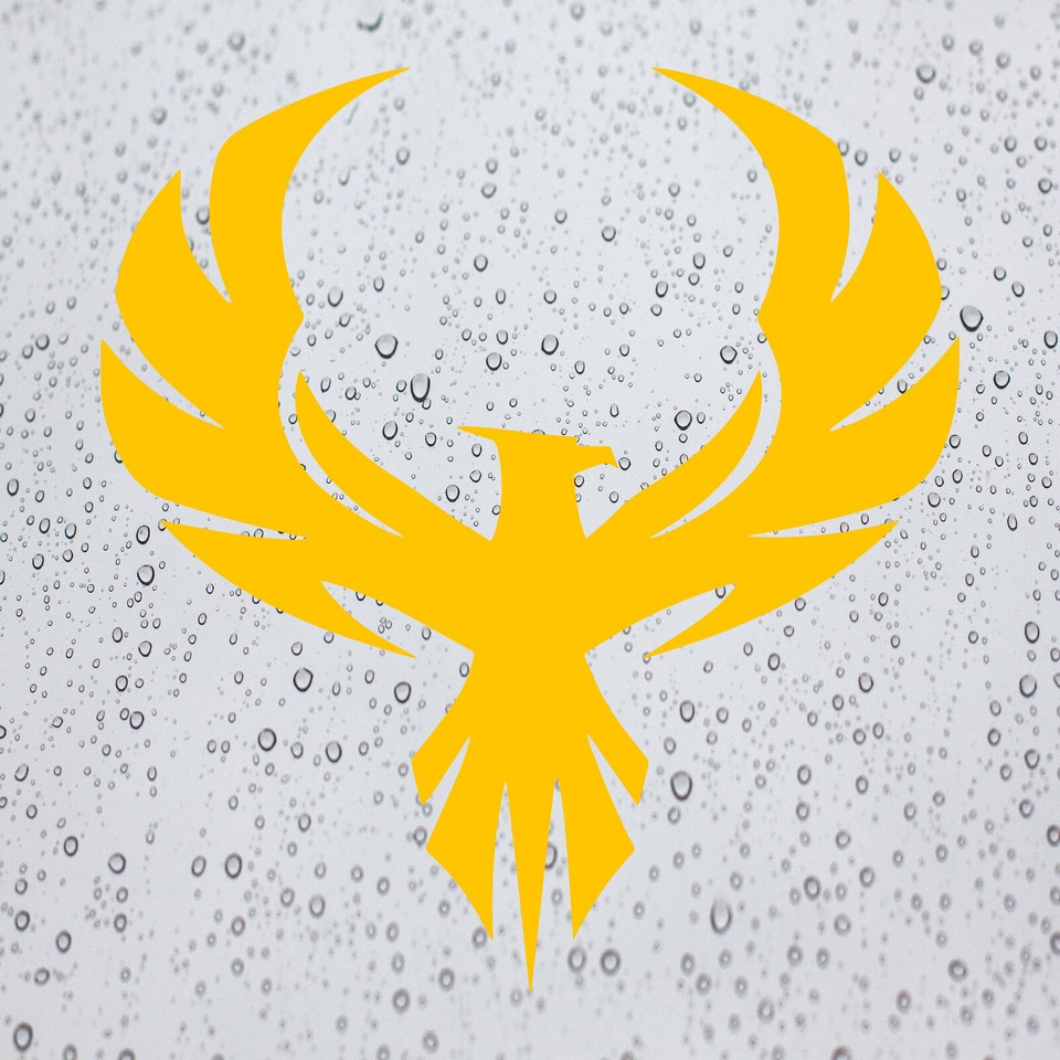 PHOENIX BIRD RISING Decal Vinyl Sticker for Car Bumper Window Door ...