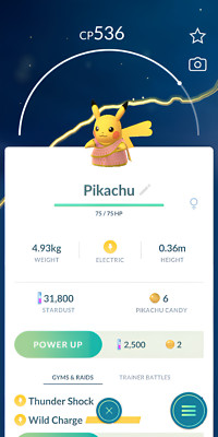 Pikachu with Saree | Tr-de Go | eBay