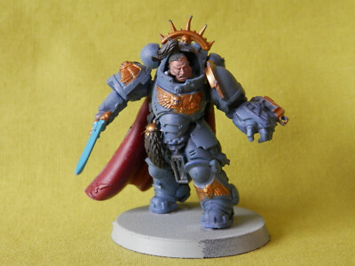 A10 WARHAMMER 40K SPACE WOLVES PAINTED PRIMARIS CAPTAIN PLASTIC MODEL ...