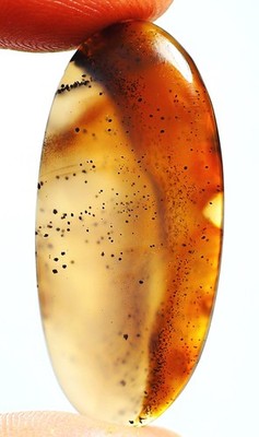 33 Ct 6X17X37 mm Natural Amber Montana Agate Oval Cabochon Gemstone DH ...