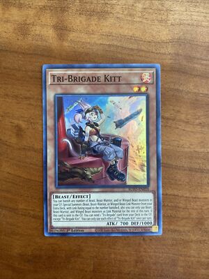 Yu-Gi-Oh! TCG Tri-Brigade Kitt Blazing Vortex BLVO-EN010 1st Edition ...