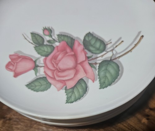 Vintage 16pc. Set of 1950's Royalon Melmac Plates with Rose Pattern | eBay