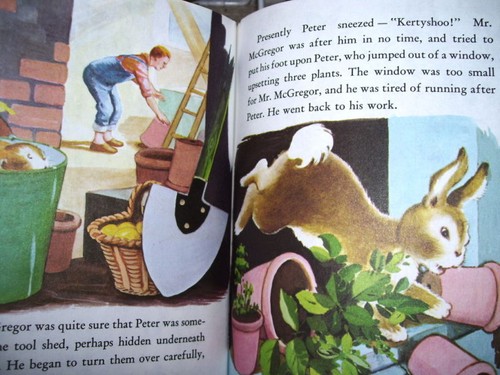 A Little Golden Book Peter Rabbit by Beatrix Potter | eBay