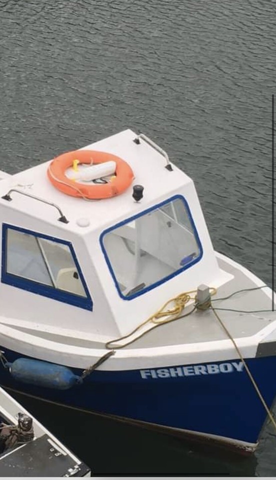 Treeve 21 fishing boat | eBay UK