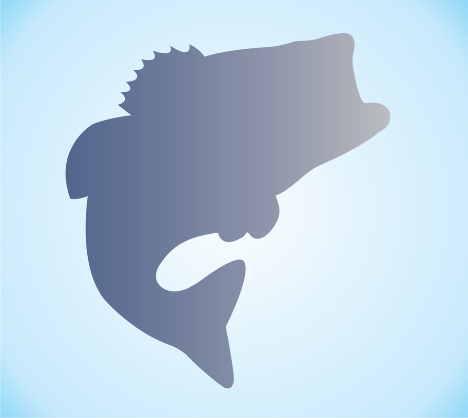 Bass STENCIL Jumping Fish Many Sizes DIY outdoor Lake River Art Signs ...