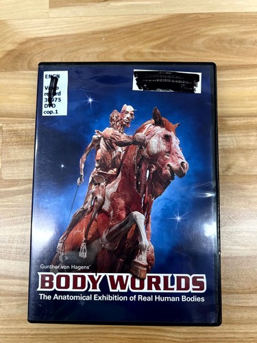 Body Worlds The Anatomical Exhibition of Real Human Bodies (DVD) | eBay
