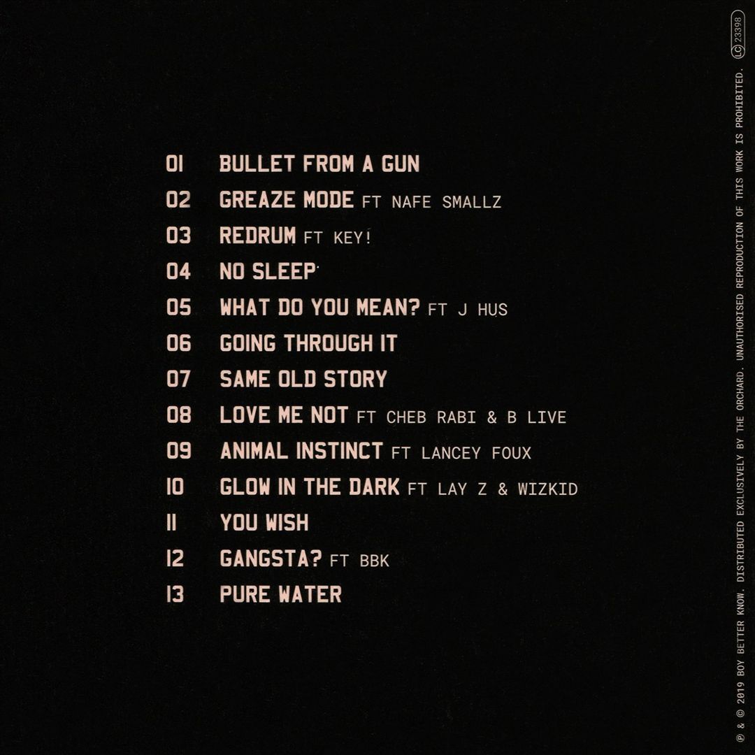 SKEPTA IGNORANCE IS BLISS NEW CD 193483764313| eBay