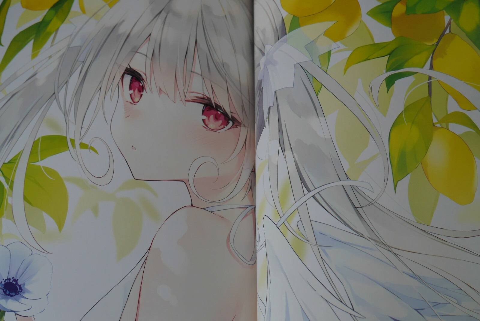 rurudo (Hololive: Tokoyami Towa Artist) Illustrations: Unreal (Art Book ...