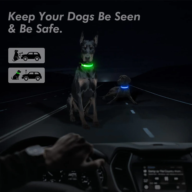 LED Adjustable Dog Collar Blinking Flashing Light Up Glow Pets Safety ...