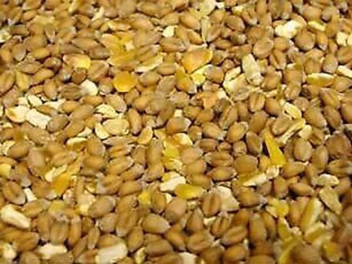 Countrywide Mixed Poultry Corn (60/40) 20kg 5037631100750 | eBay UK