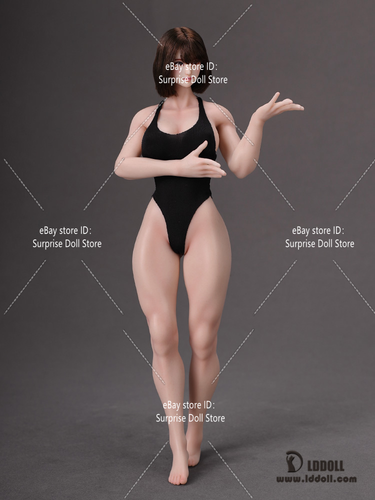 LDDOLL Boxing 1/6 Female Muscle Seamless 29cm Flexible Body Figure F 12" OB Head | eBay