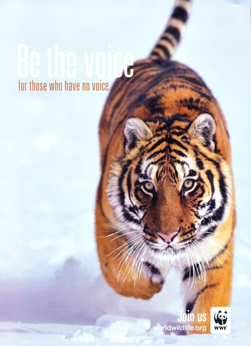 Wwf Tiger Ads