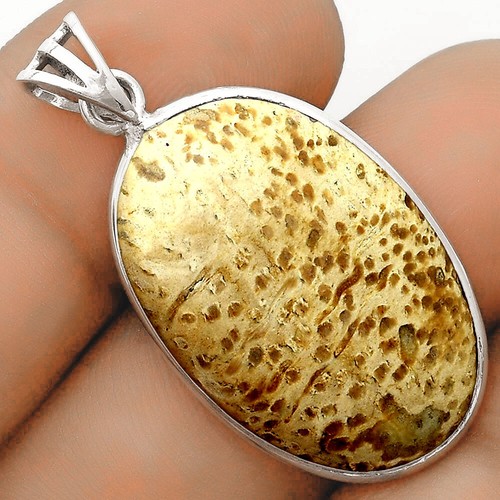 Natural Palm Root Fossil Agate 925 Sterling Silver Pendant Jewelry P ...