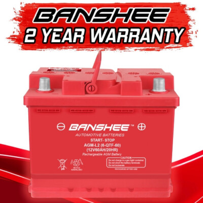 Platinum AGM Battery BCI Group 47-12v 60ah H5 Size 47 Automotive ...