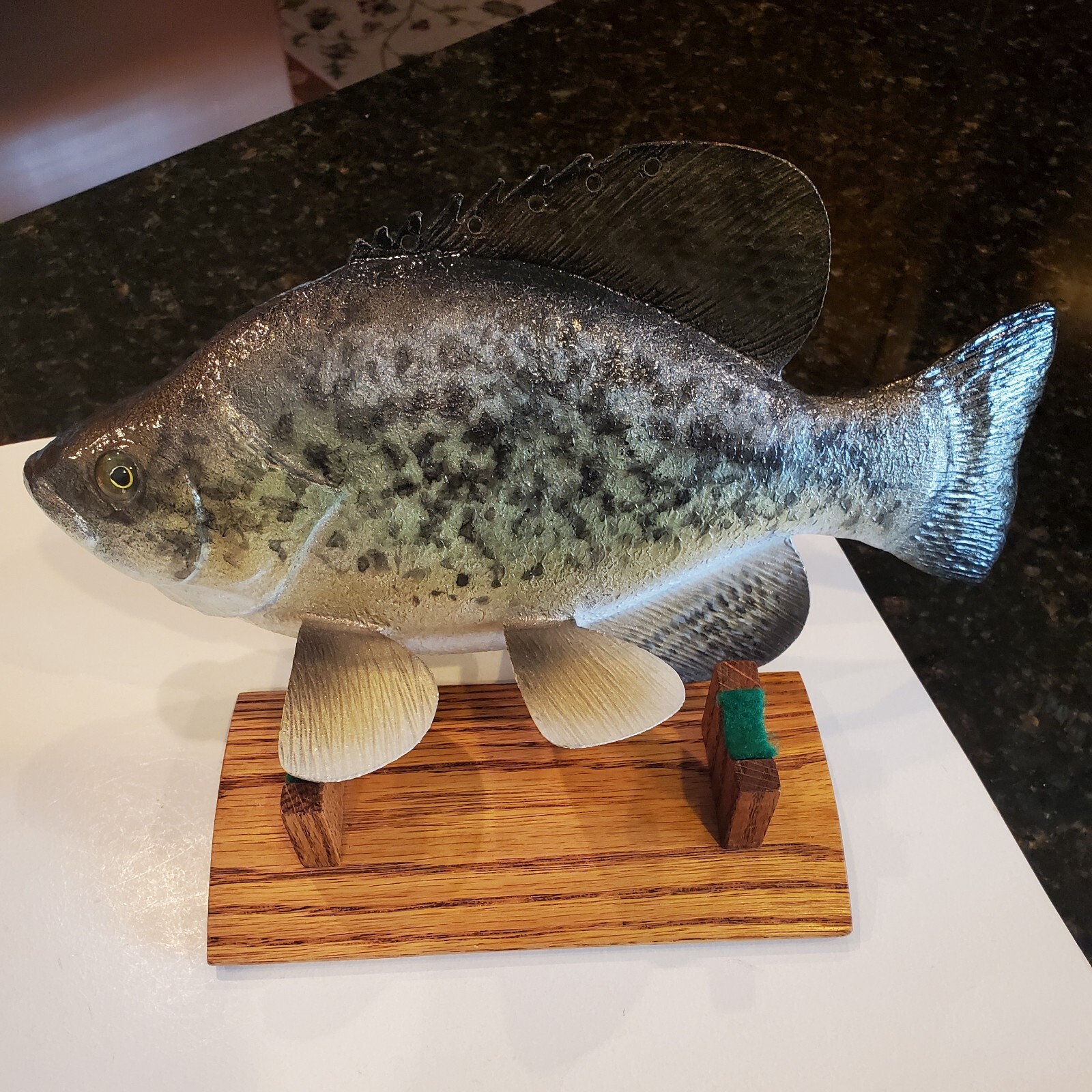 Casey Edwards Signed Wisconsin Wood Carving Crappie Spearing Decoy (Lot ...