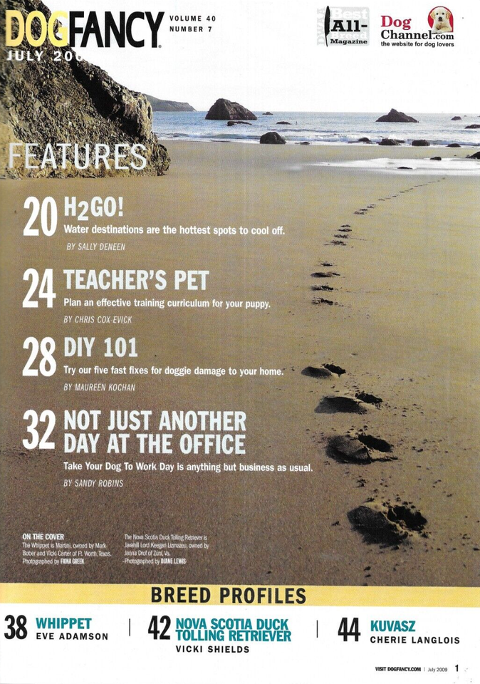 Dog Fancy Magazine Bo Puppy Training Summer Fun Ideas Home Repair ...