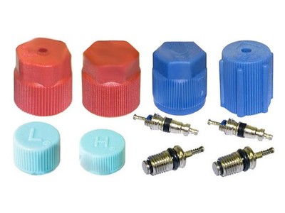 A/C System Valve Core and Cap Kit 53NWDD59 for Mark VIII Continental ...