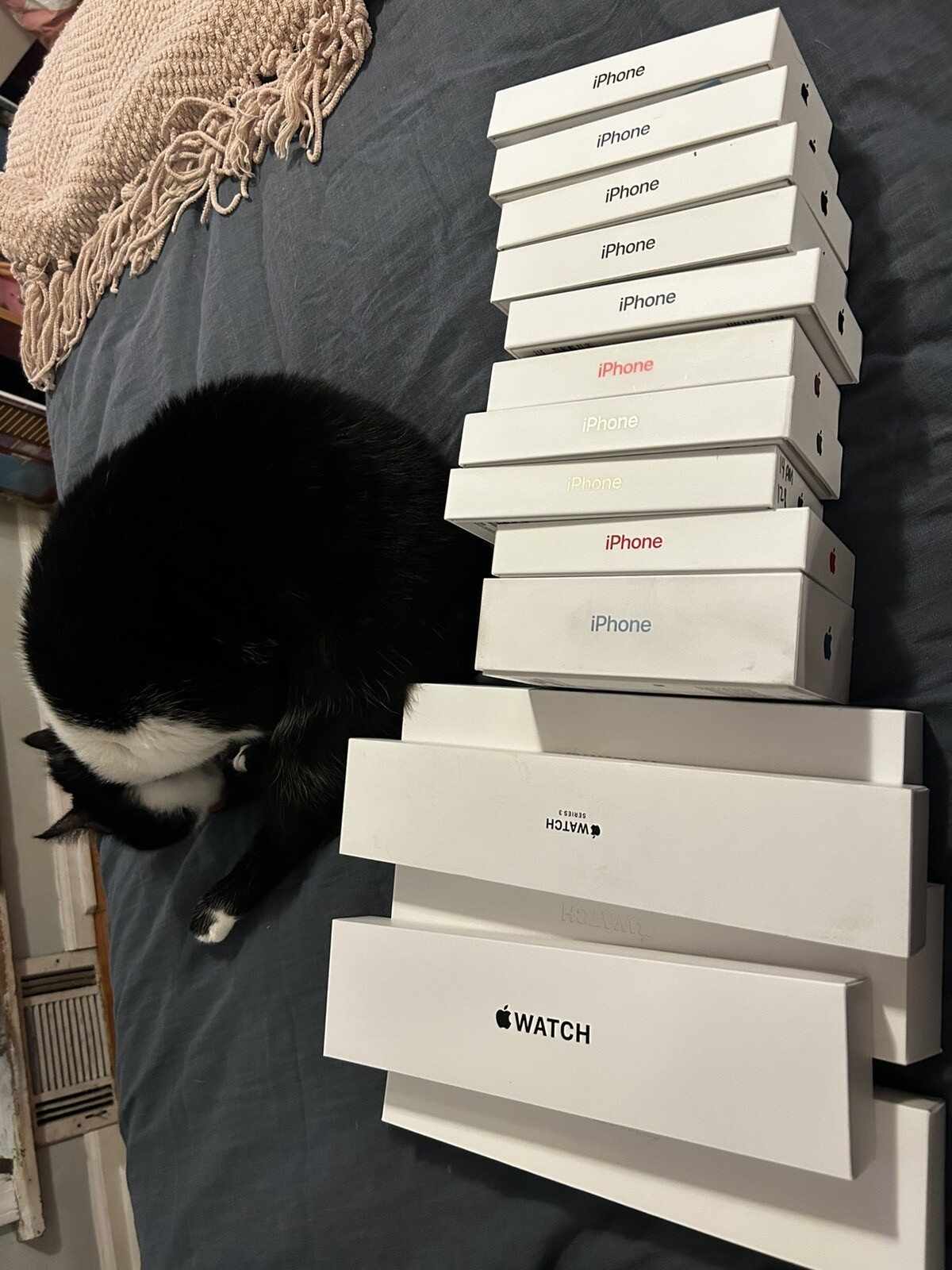 iphone boxes empty lot | eBay