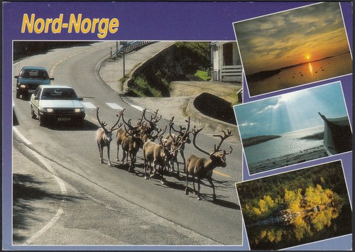 AB3761 Norway - Nord-Norge - Views - Vintage Postcard - Card Postal | eBay
