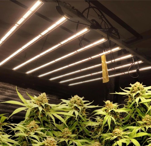 640W Spider Replaces Fluence Gavita 1700e LED Foldable Bar Grow Light ...