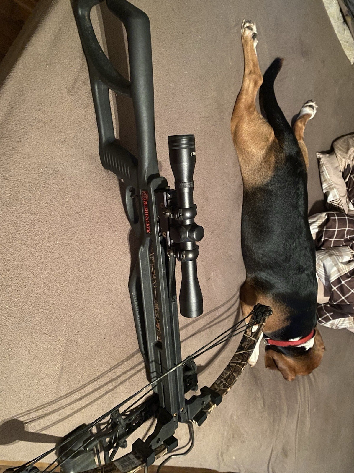 Parker Bushwacker Crossbow 150 Pre-owned | eBay