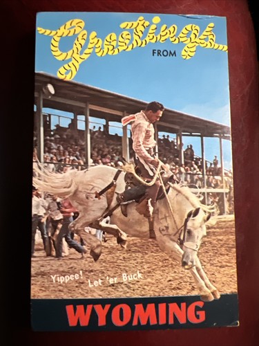 c1960's Cowboy Rodeo Greetings From Wyoming Vintage Postcard | eBay