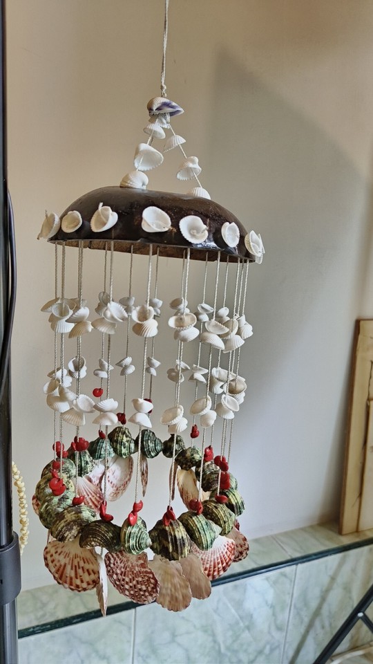 Beautiful Seashells Coconut Shell Hanging Spiral Dangling Windchimes ...