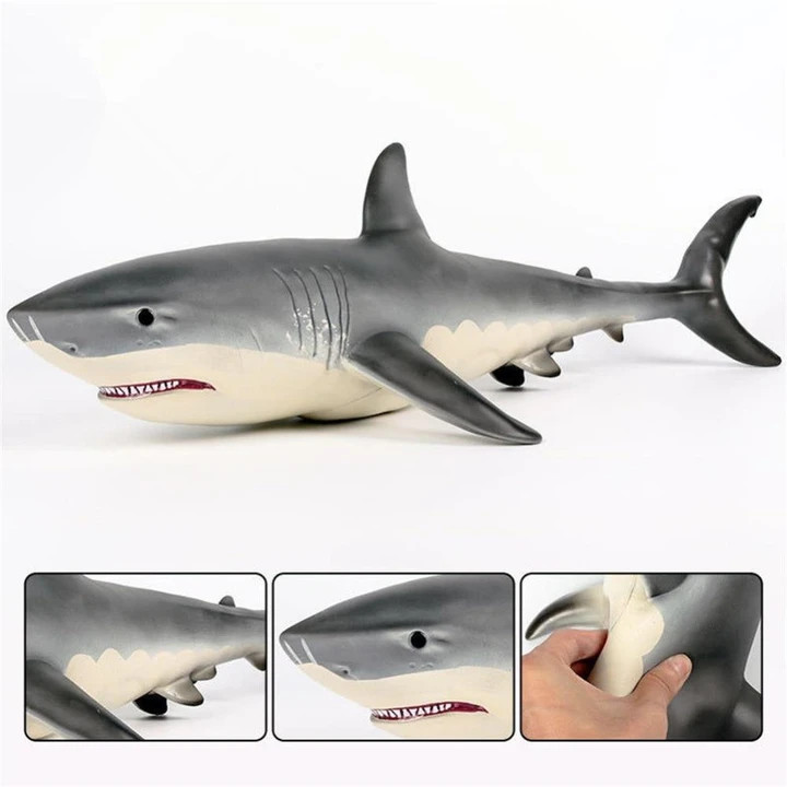 Jaws Model Toy