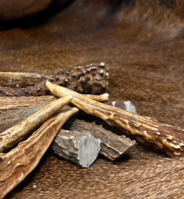 10 Pack - Small Deer Antler Gnarly Tips * Grade A * Brow Tine Pendants ...