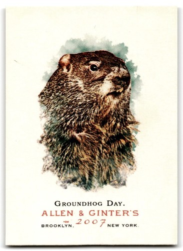 2007 Topps Allen & Ginter Groundhog Day #183 | eBay
