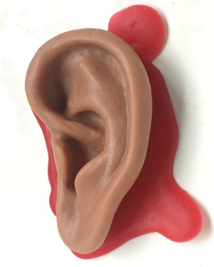 Severed Bloody Ear - Halloween - Haunted House gory body part - Life ...