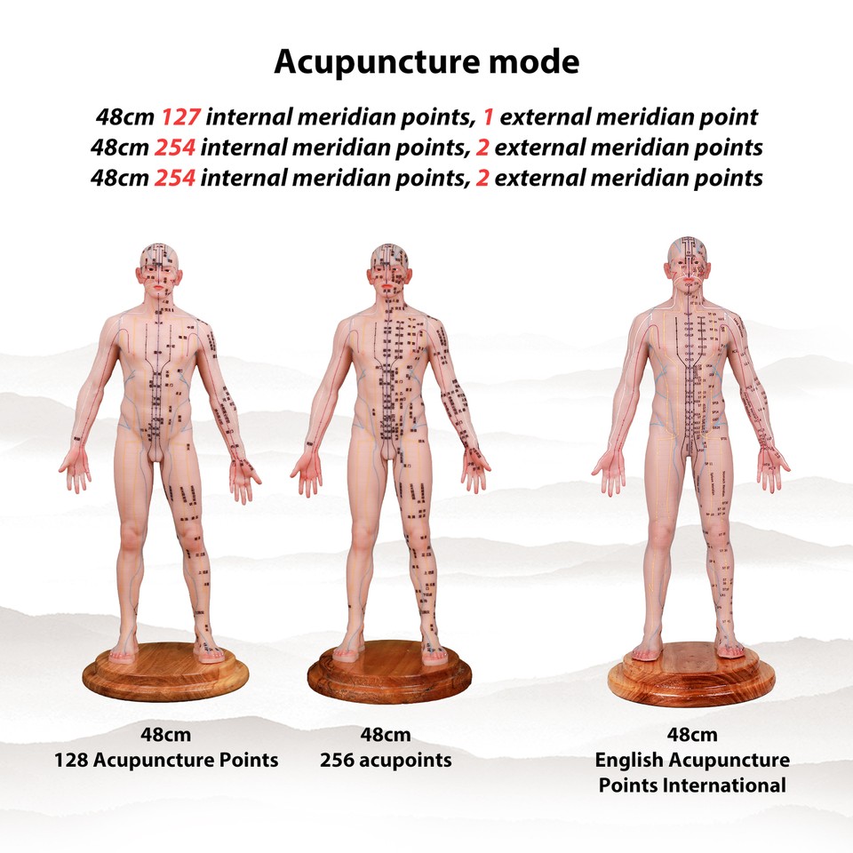 Acupuncture Model 48/55cm Human Acupoint Silicone Doll English Marking ...