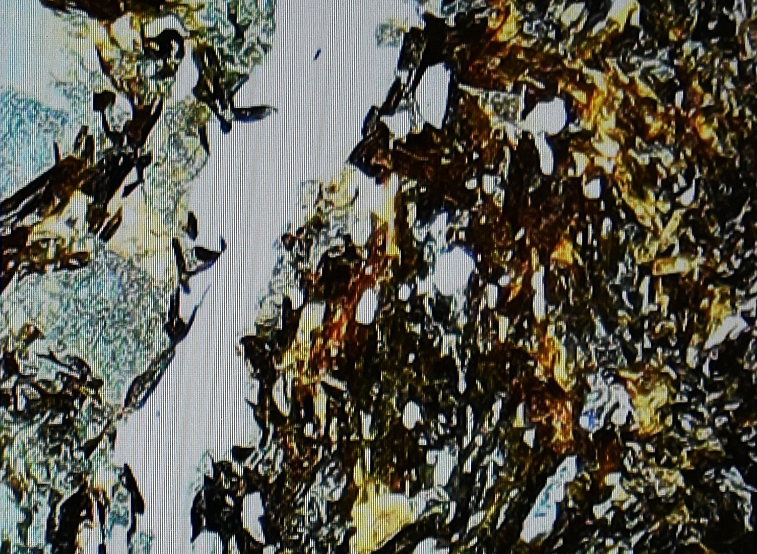 Gold Ore High Grade Core Sample Relic 1800s Ore Knob Copper Mine, NC 1. ...