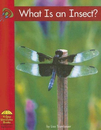 What Is an Insect? by Lisa Trumbauer (2006, Hardcover) for sale online ...