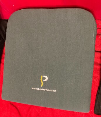 Posturite, chair and car back support cushion, very good condition as ...