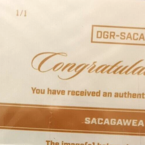 #1/1 2023 KEEPSAKE 5X7 JUMBO CARD SACAGAWEA JUMBO RELIC CARD#DGR-SACA ...