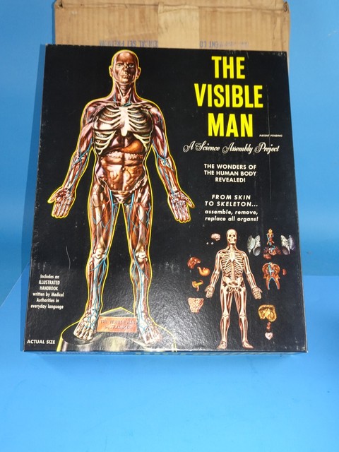 Vintage 1959 Renwal The Visible Man Model Kit Complete 800 598 for sale ...