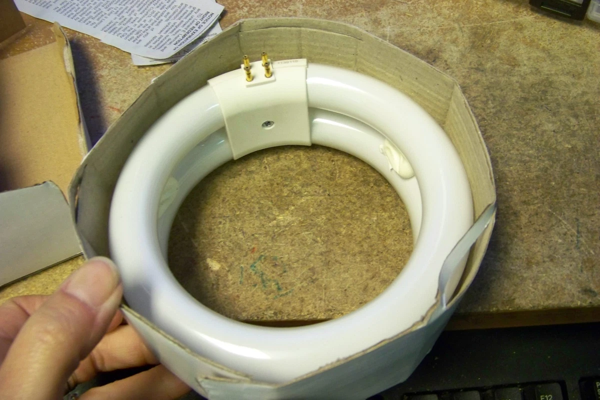 T6 Circular Light Bulb | Shelly Lighting